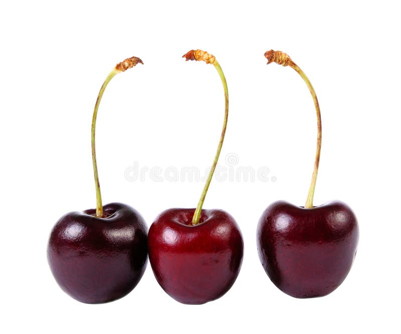Three sweet cherries stock photo. Image of meal, gourmet - 31590920
