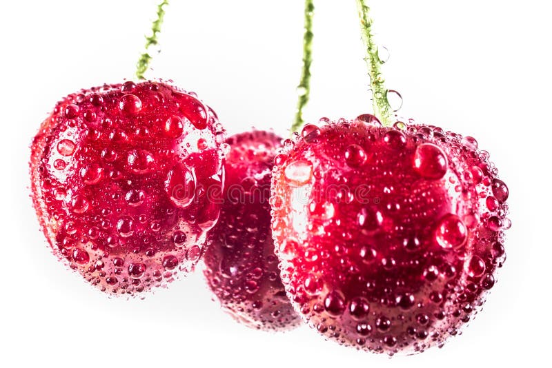 Three Sweet Cherries with Water Drops Stock Image - Image of cherry ...