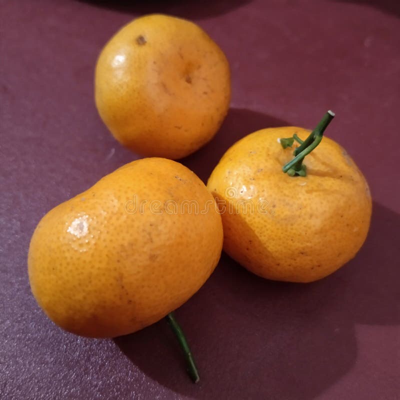 Three Sweet Oranges on Top of the Table Stock Photo - Image of table ...
