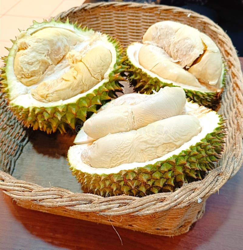 Three Sweet, Sticky and Delicious Durians Stock Photo - Image of three ...