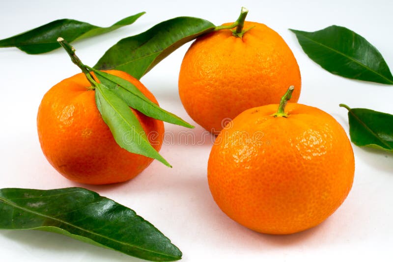Closeup of Three Sweet Tangerines Stock Image - Image of clementine ...