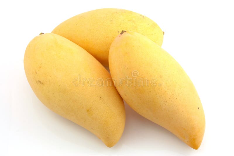 Three sweet Thai mangoes stock image. Image of isolated - 19096843