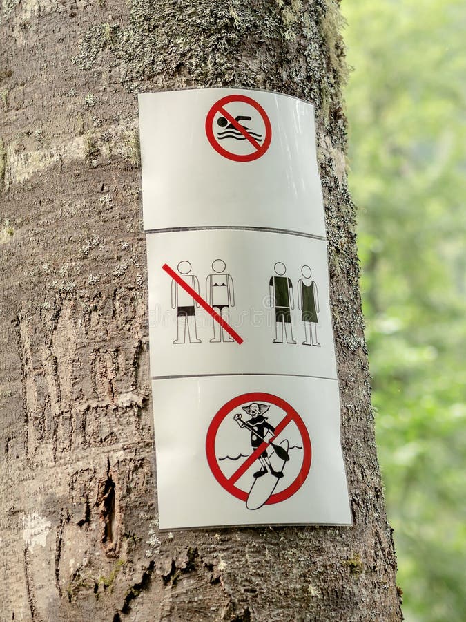 Three Tablets with Schematic Signs Hang on a Tree Trunk. Rules of ...