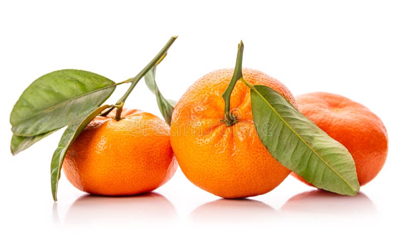 Three Tangerines with Green Leaves. Isolate on White Background Stock ...