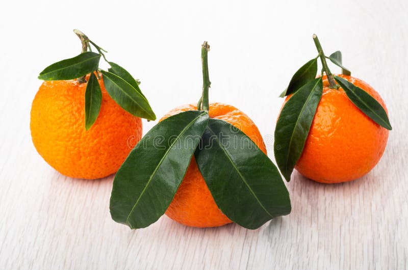 Three Tangerines with Leaves on Light Table Stock Photo - Image of ...