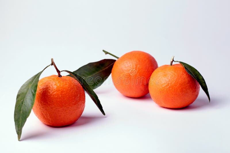 Three Tangerines with Leaves Stock Photo - Image of peel, citrus: 49520700