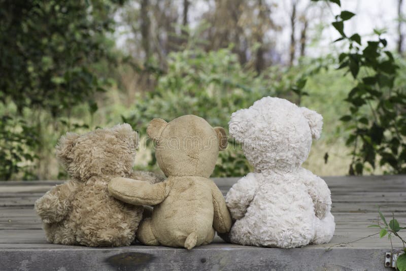 Three teddy bears stock photo. Image of bear, sitting - 10536882