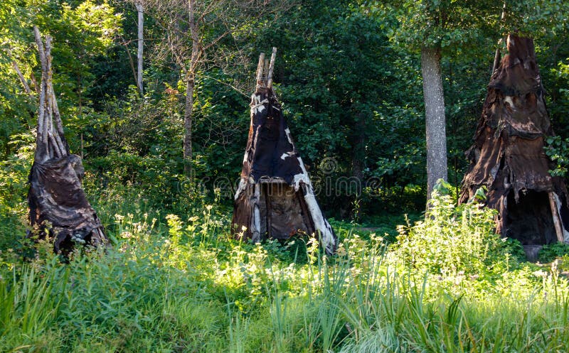 Three Teepees are in a Field with Grass and Trees Stock Image - Image ...