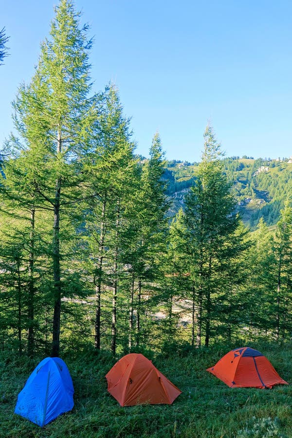 Campsite stock photo. Image of trees, scenic, tree, forest - 128095448