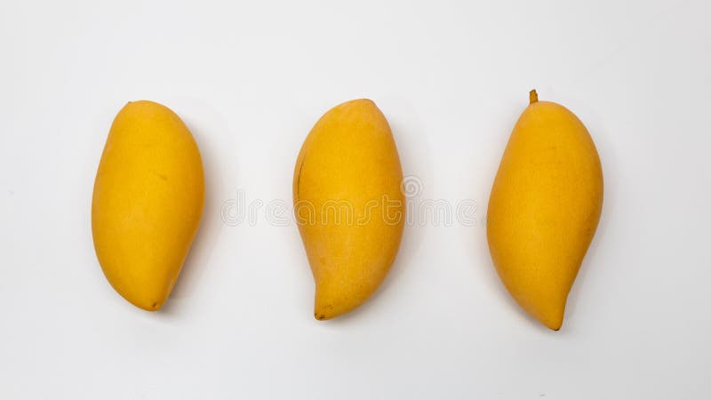 Three Thai Yellow Mangoes stock image. Image of studio - 275596939