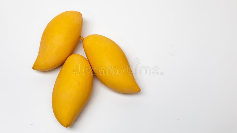 Three Thai Yellow Mangoes stock image. Image of grow - 275596945