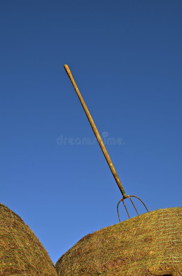 Three Tined Pitch Fork Stuck in Hay Bale Stock Image - Image of feed ...