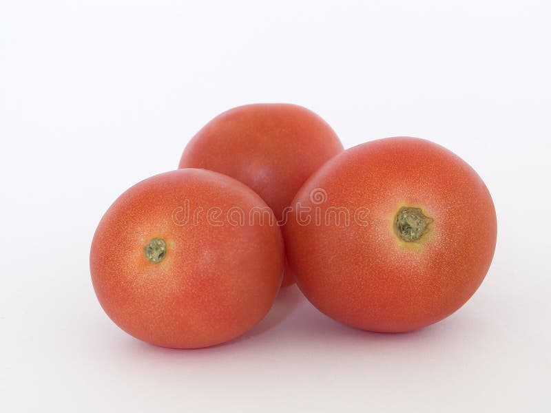 Three Tomatoes Picture. Image: 141985