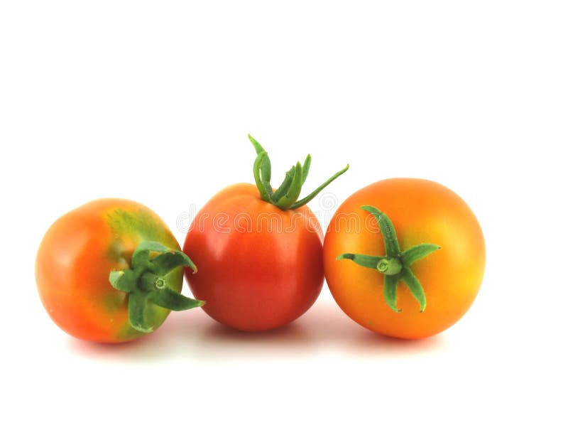 Three tomatoes stock photo. Image of healthy, snack, produce - 15784688