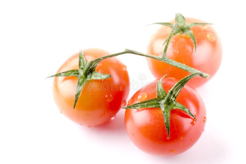 Three Tomatoes stock image. Image of rinsed, food, white - 7624311