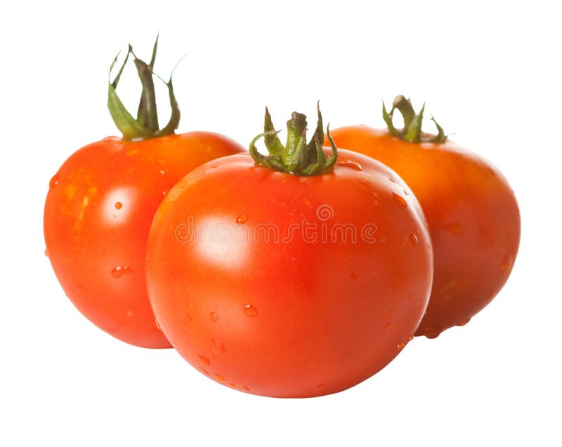 Three Tomatoes Isolated on White Stock Photo - Image of closeup, tomato ...