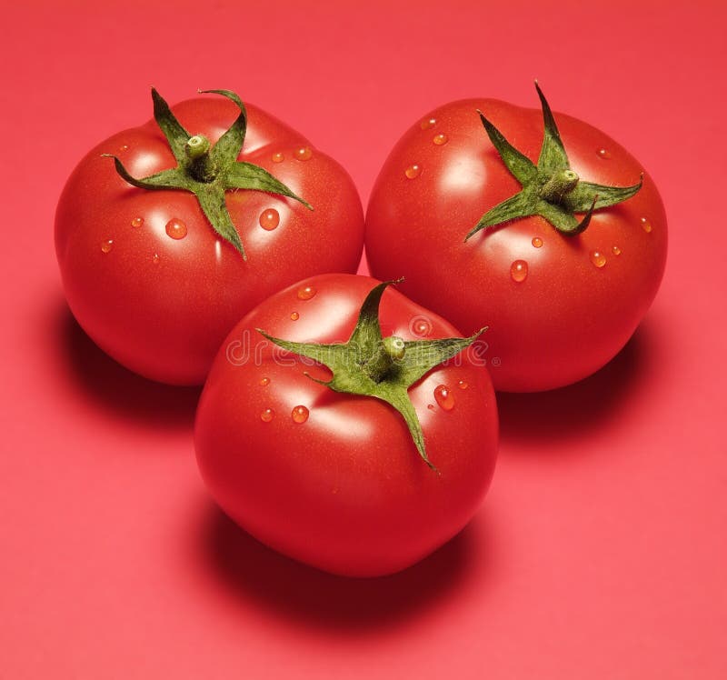 Three Tomatoes on Red stock photo. Image of three, vegetarian - 62356514