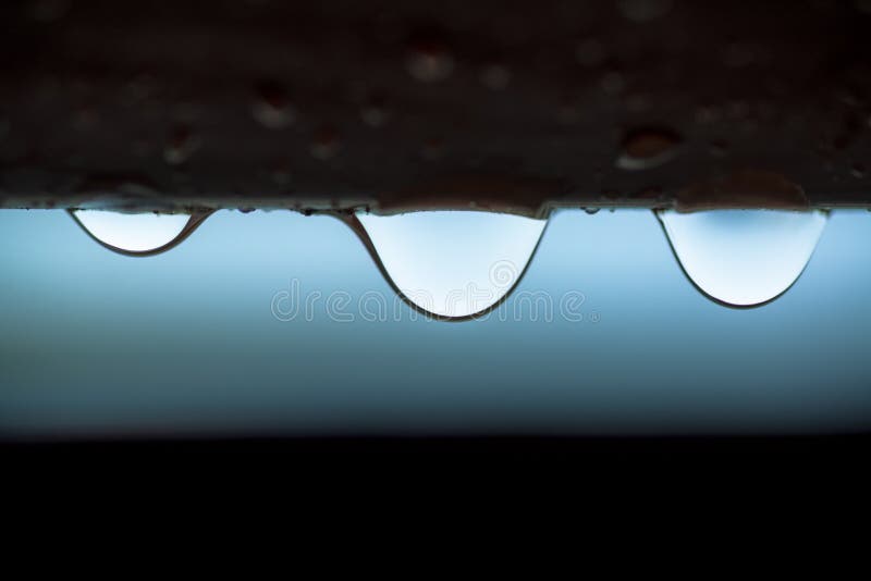 Three Transparent Water Drops Stock Photo - Image of nature, clean ...