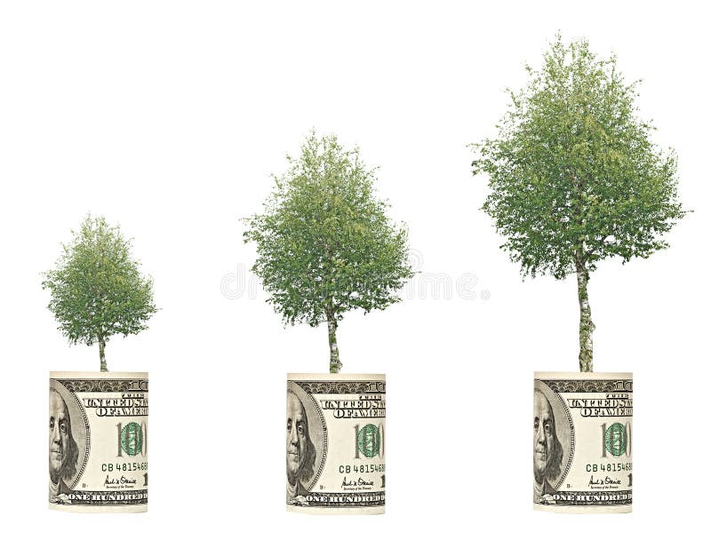 Trees Growing from Dollar Bill Stock Photo - Image of progress, trees ...