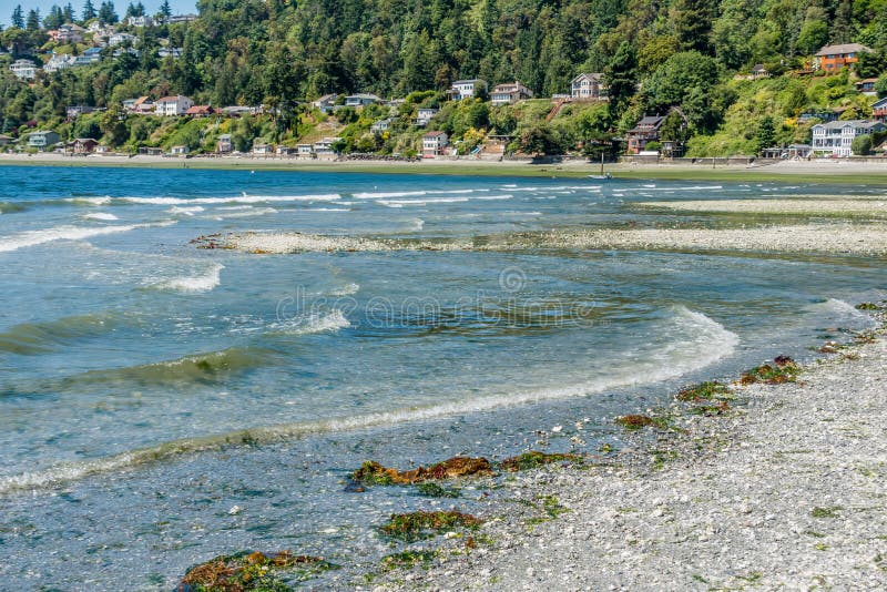 Three Tree Point Homes stock image. Image of burien - 120049869