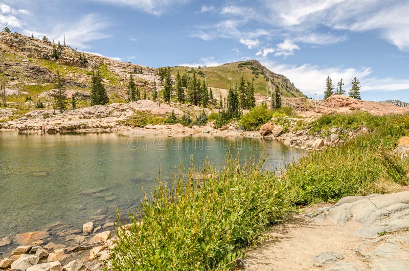 Three Trees at Cecret Lake stock image. Image of mountain - 86635687