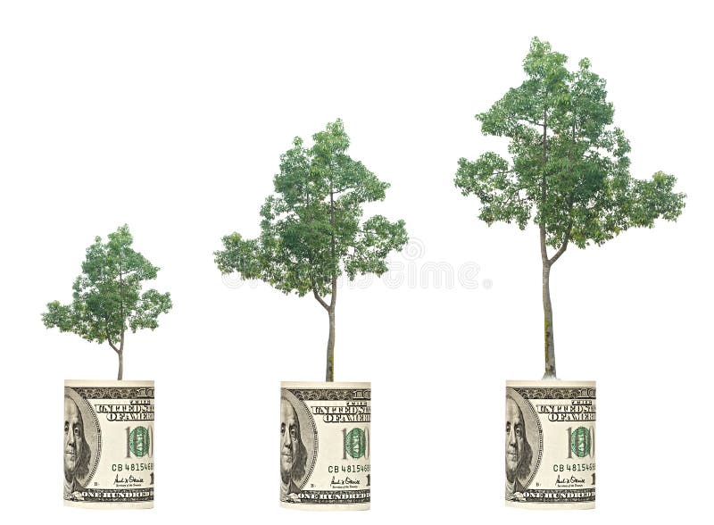Three Trees Growing from Dollars Stock Image - Image of carbon ...