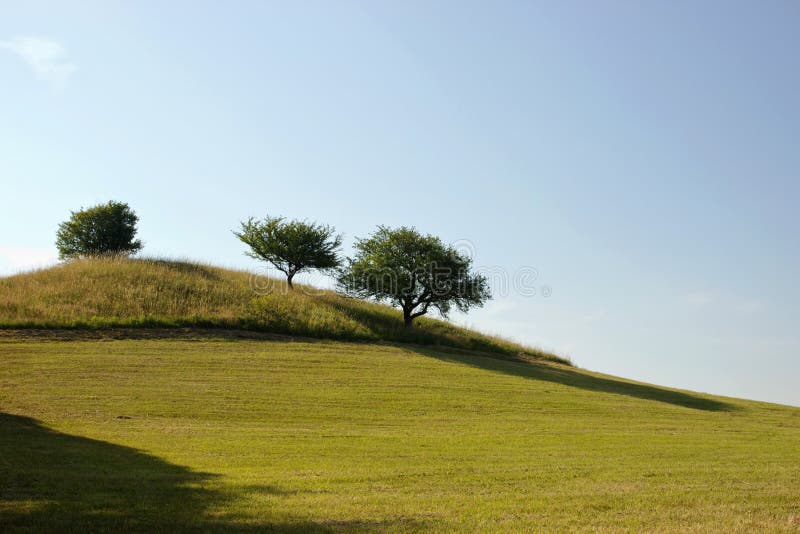 Three Trees stock image. Image of trees, forest, meadow - 42467373