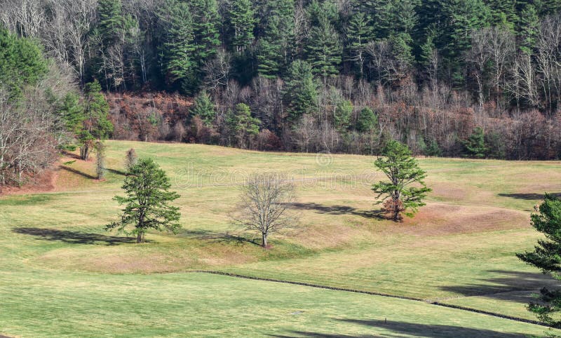 Three Trees in the Open Landscape of the Quabbin Reservoir Stock Photo ...