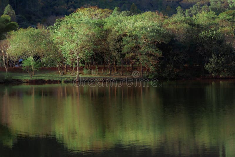 Artistic Reflection of Trees on a River. Stock Image - Image of leaves ...