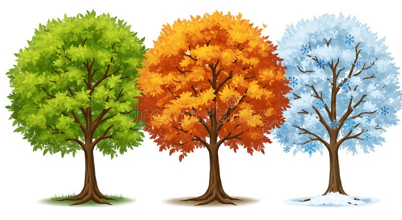 Three Trees Representing Seasons. the First Tree Has Lush Green Foliage ...