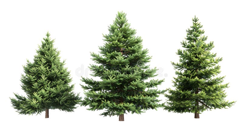 Three Trees with Different Colored Leaves, One is Yellow, One is Red on ...