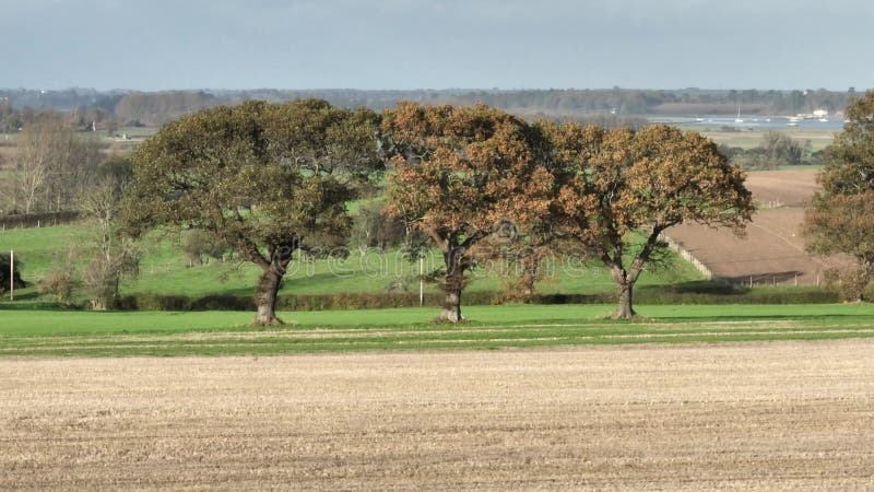 Parallax Landscape Effect Drone Flight Stock Footage - Video of blue ...