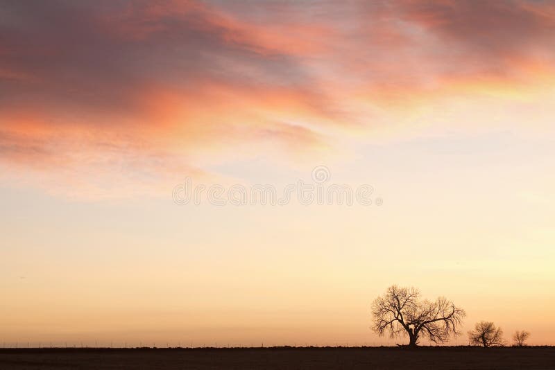 Three Trees Sunrise Sky Landscape Stock Photo - Image of prints ...
