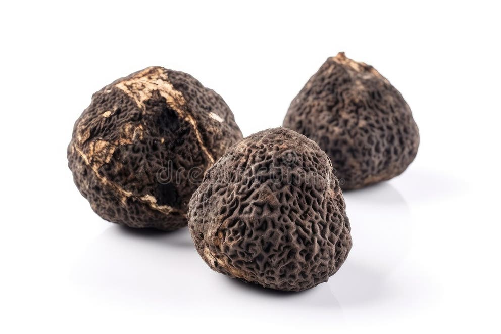 Three Truffles Isolated on White Background Stock Illustration ...
