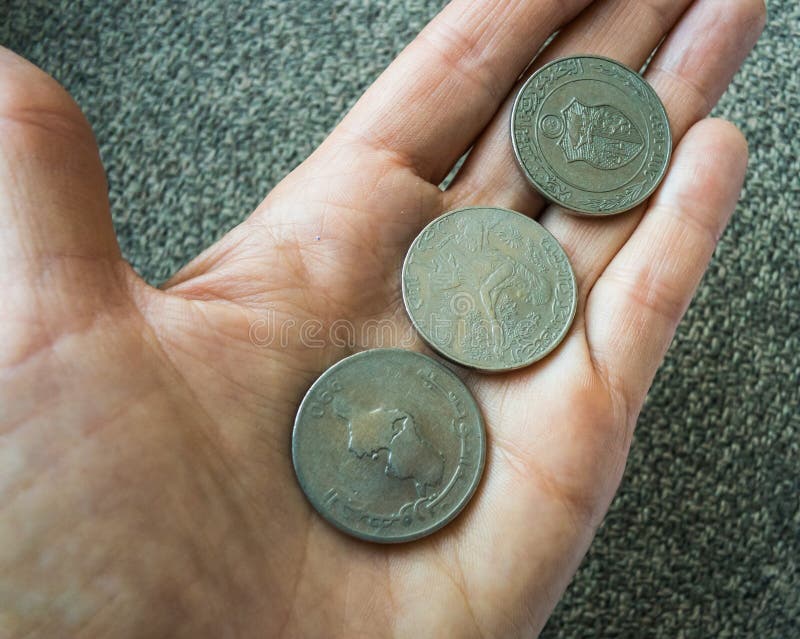 Three Tunisian Coins on the Woman S Palm Stock Photo - Image of cent ...
