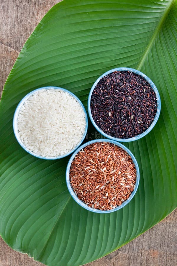 Three Type of Organic Rice in Cup Stock Photo - Image of grained, farm ...