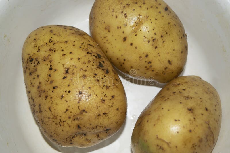 Three Unpeeled Washed Potatoes in a White Plate. Home Cooking Stock ...