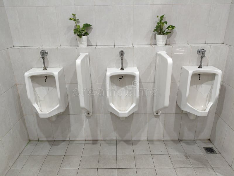 Three Urinals in a Row with Small Potted Plants Above. Clean and Simple ...