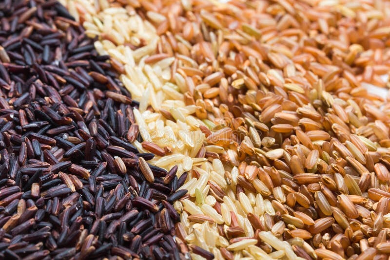 Three Variety Kinds of Brown Rice Stock Image - Image of pile, food ...