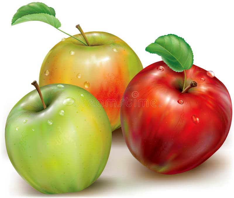 Three Vector of Apples on White Background Stock Vector - Illustration ...
