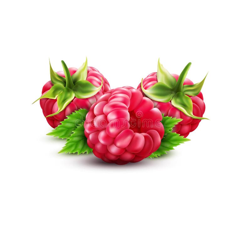 Raspberry Stock Illustrations – 154,886 Raspberry Stock Illustrations ...