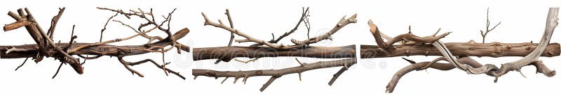 Three Views, First Front View, Second Isometric View and Third Side ...