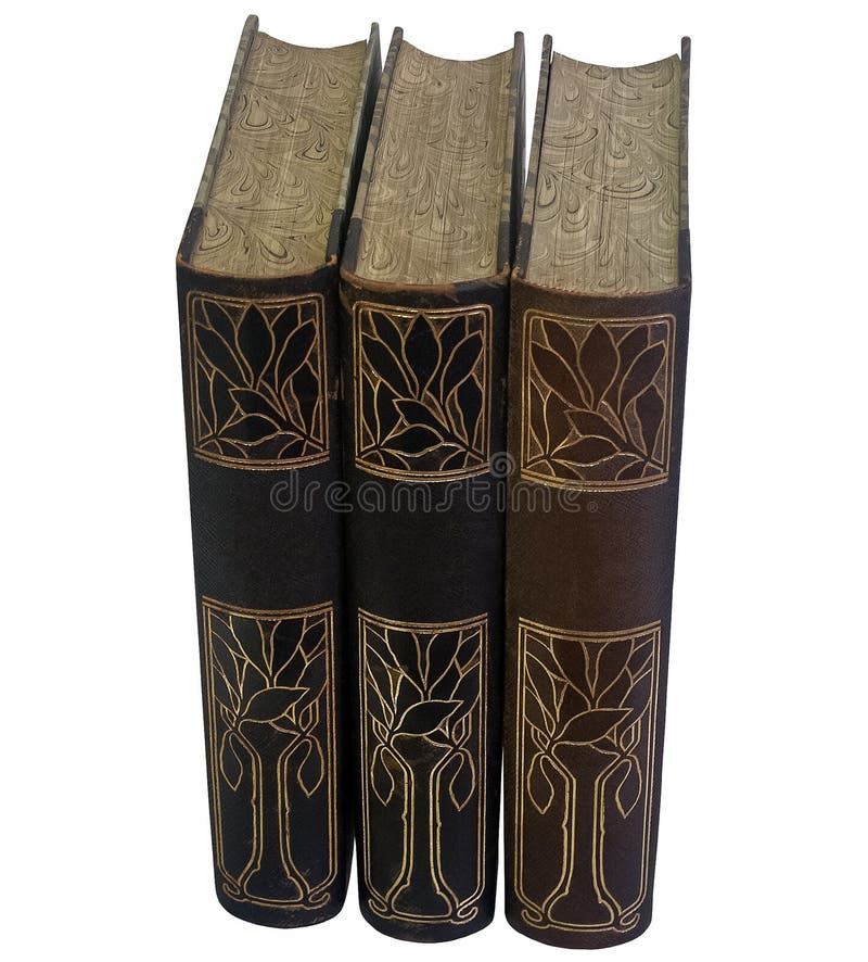 Three Vintage Leather Books with Decorative Spines Stock Image - Image ...