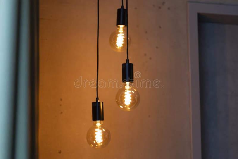 Setting Sun Casting Long Shadows through a Bluebell Beech Wood Stock ...