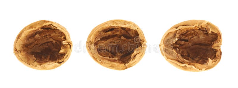 Three Walnut Shells Isolated Stock Image - Image of closeup, brown ...