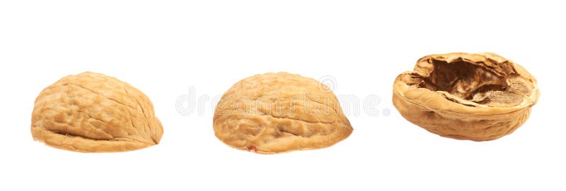 Walnut shells isolated stock photo. Image of eating, healthy - 45286380