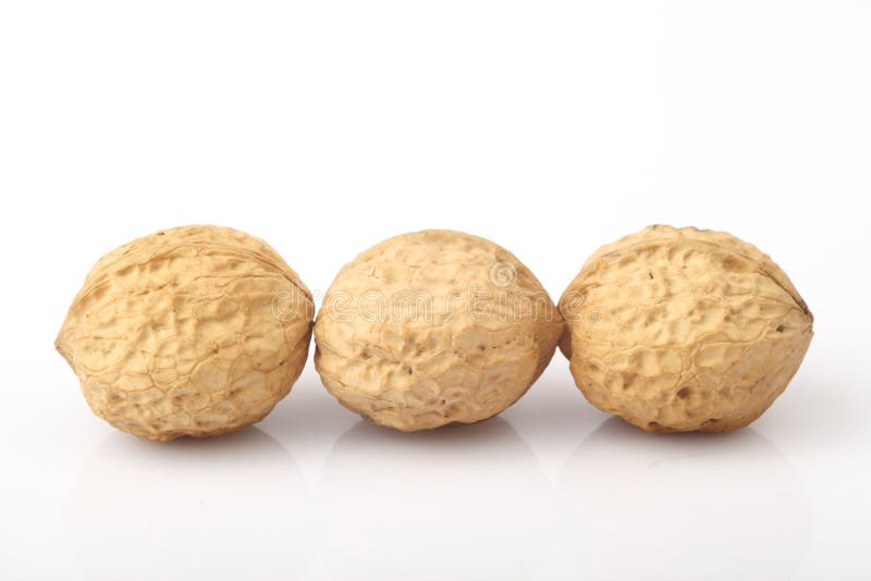 Three walnut stock image. Image of healthy, color, diet - 48048295