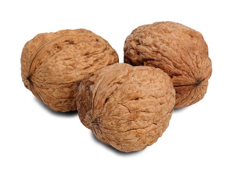Three walnut on white stock photo. Image of heap, ingredient - 165058048