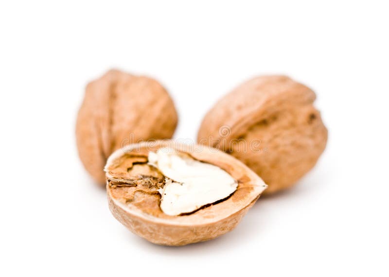 Three walnuts stock image. Image of healthy, collection - 11251785
