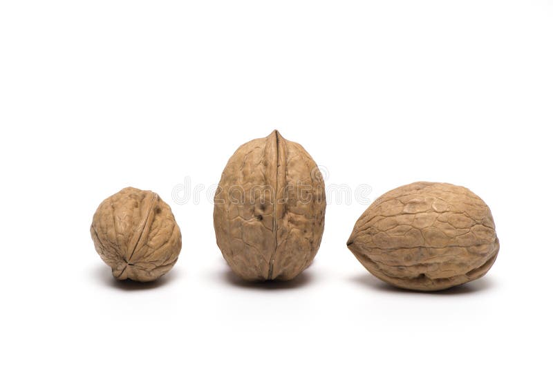 Three Walnuts from Different Sides White Background Stock Photo - Image ...
